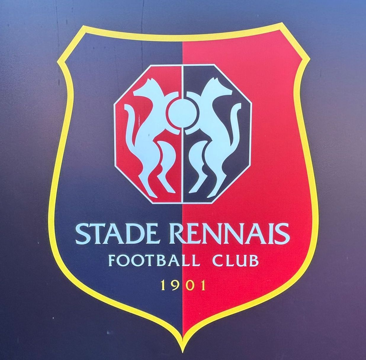 Mercato : Ruben Aguilar vers le Stade rennais ? - Stade Rennais Online